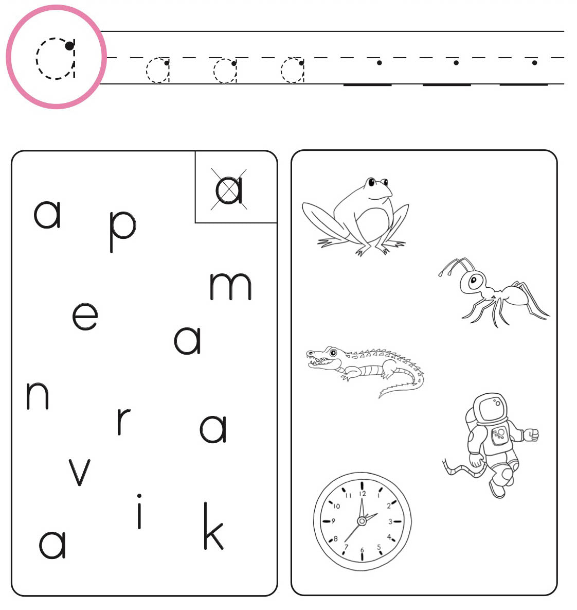 Workbooks Only Bundle – fetchphonics